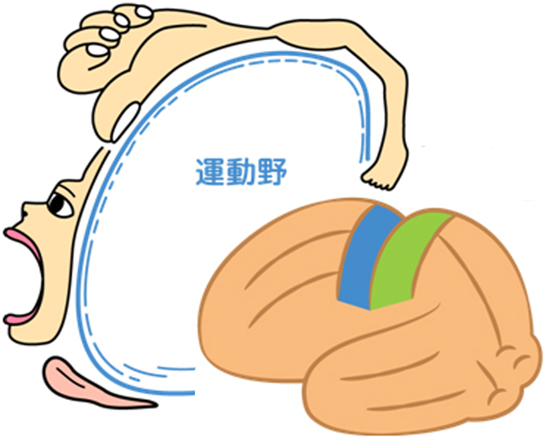 日本中央テレビ【吉野川市・小松島市のケーブルテレビ局】JCTV